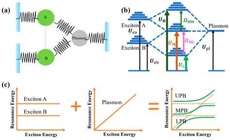 a schematic diagram of the three coupled oscillator model b