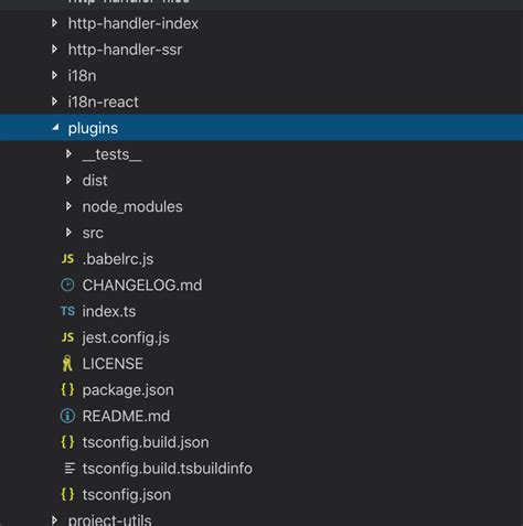 package json has no main entry error and webiny module error when