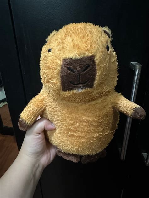 New Gopher Stuff Toy Hobbies And Toys Toys And Games On Carousell