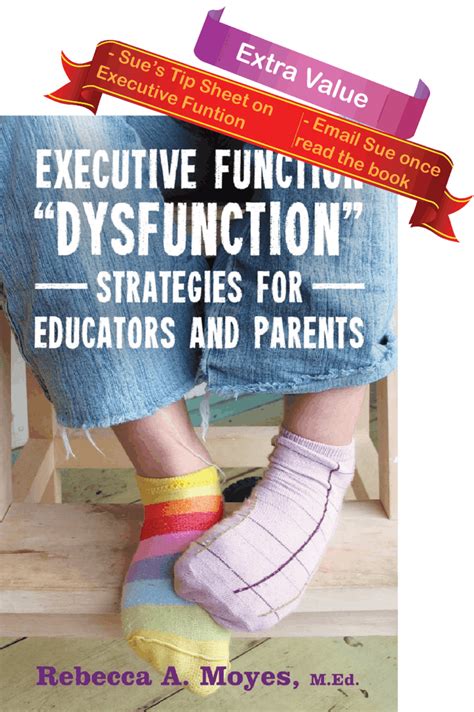 Executive Function Dysfunction Sue Larkey