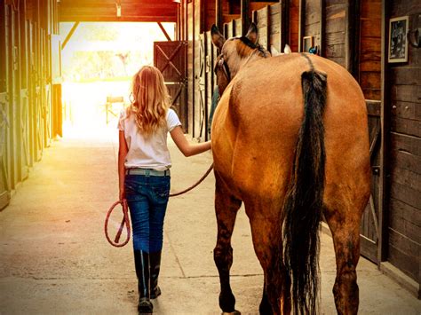 I Cant Help You Ann Dealing With Loss By Ann Hoff