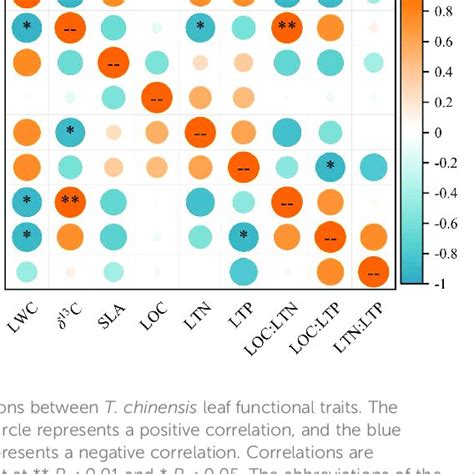 List Of Leaf Functional Traits And Their Ecological Significance Download Scientific Diagram