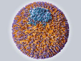 A Sample Preparation Primer On Lipid Analysis In Foods