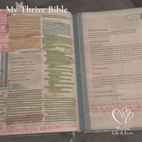 How To Color Code Your Bible 7 Awesome Ways Sharing Life And Love