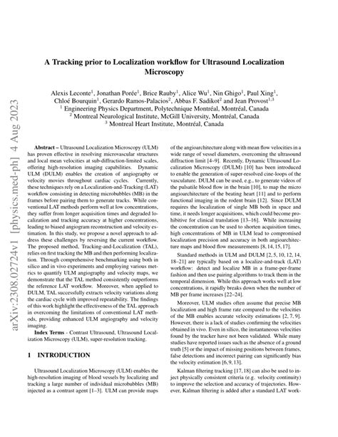 Pdf A Tracking Prior To Localization Workflow For Ultrasound