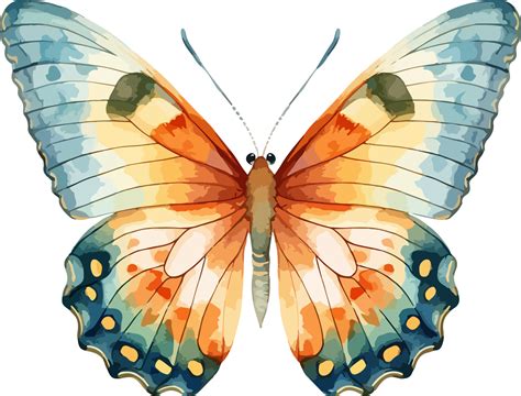 Butterfly Watercolor Clipart At Naomi Marshall Blog