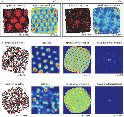Modulo Art Square Grid Philippin News Collections