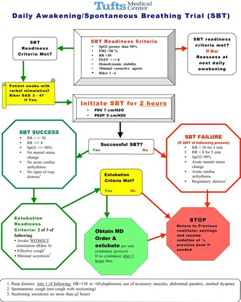 Muhammad L On Linkedin Spontaneous Breathing Test