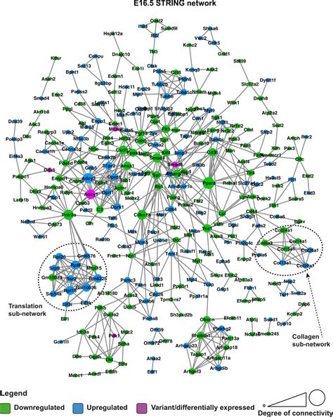 Figures And Data In Quantitative Trait And Transcriptome Analysis Of