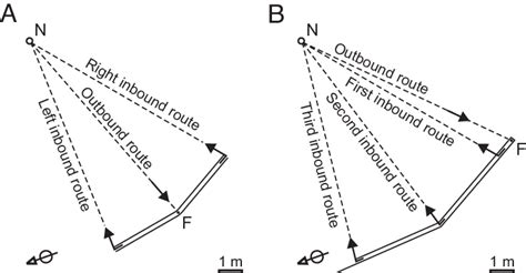Experimental Setup Channel Arrangements Solid Lines Used For Download Scientific Diagram