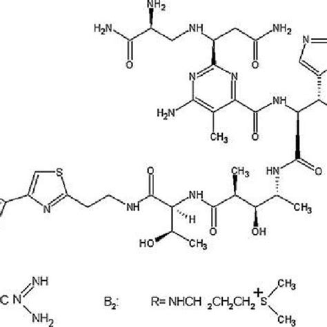 Chemical Structure Of Bleomycin Glucuronide Blmg Download Scientific Diagram