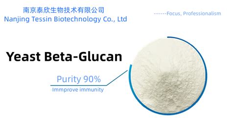 What Is A Yeast Beta Glucan And How Does It Support Immunity Tessin