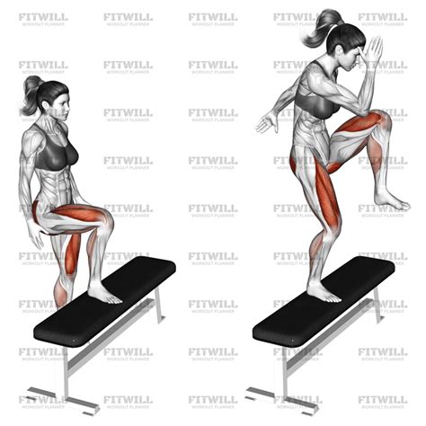 High Knee Step Up Exercise Guide Techniques Benefits How To Muscles Worked Tips And Tricks