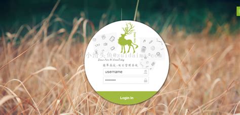 一款简洁登录页面模板 代码 最代码