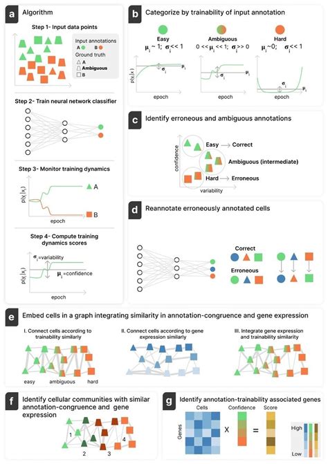 Neural Networks Revolutionize Genomic Data Interpretation With Annotatability
