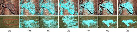 Figure 2 From Interactive Image Segmentation Based On Level Sets Of