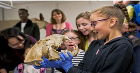 لأول مرة زوار متحف بريطانى يتحدثون مع الحيوانات المعروضة بالذكاء