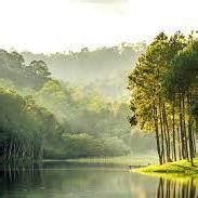 GitHub AdityaRao Motion Detector System Motion Detection System With M GO