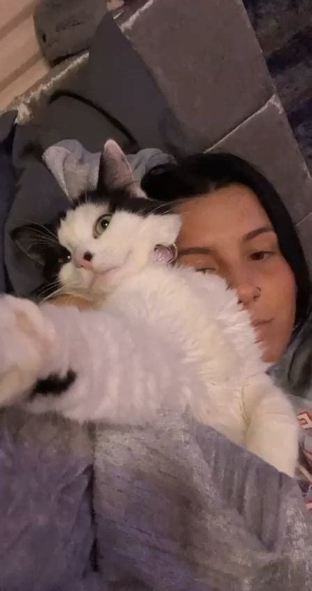 Is There Anything More Heartwarming Than A Tender Moment Between A Girl And Her Cat R Cats