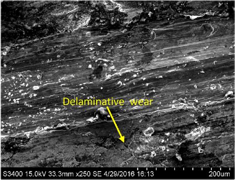 Sem Micrograph Of Worn Surface Of 10 Mn Download Scientific Diagram