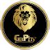 GAPHY GRAPHICS