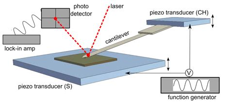 What Are The Parts Of Scanning Probe Microscope At Lee Ramirez Blog
