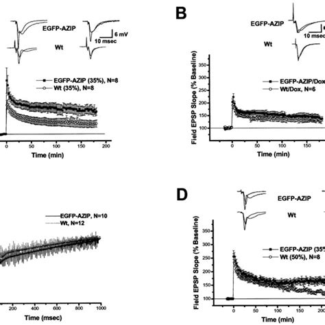 Basal Synaptic Transmission And Short Term Synaptic Plasticity A Download Scientific Diagram