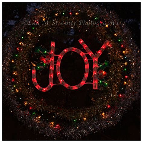 Lila M Stromer Photography Miscellaneous Photography