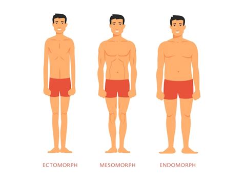 Natural Ectomorph