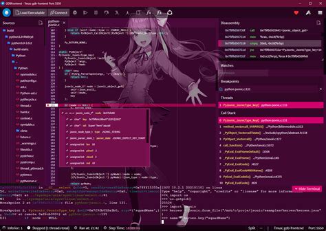How To Debug A Python C Extension With GDBFrontend GDBFrontend Documentation