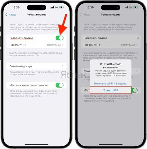 Как раздать Интернет с Айфона на Mac по Usb кабелю