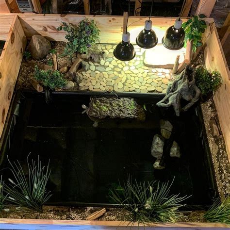 11 turtle habitat design ideas that will make you rethink space the