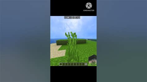 Shaders Tanpa Mcpe Patch Youtube