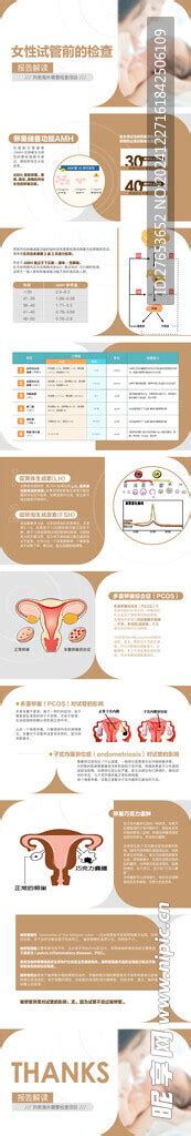 女性试管生殖报告解读ppt设计图 海报设计 广告设计 设计图库 昵图网