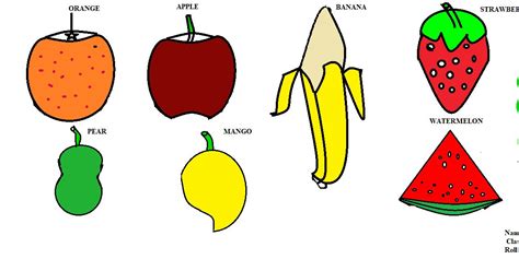 Class 2 Computer Project