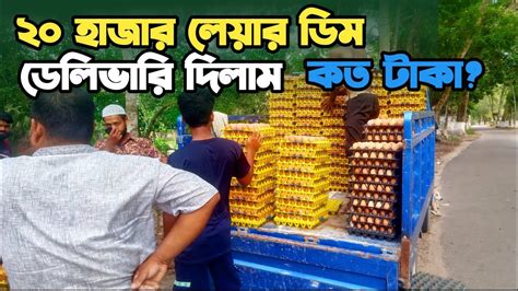 ২০ হাজার লেয়ার ডিম ডেলিভারি দিলাম। ডিমের রেট কত টাকাbd Poultry Farm Youtube