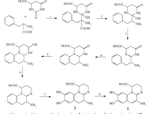 Figure 1 From Biogenesis Of The Pyoverdin Chromophore Semantic Scholar