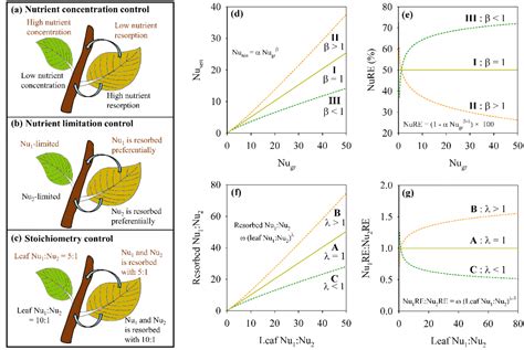 Functional Ecology 陈浩副教授团队揭示叶片养分重吸收的全球控制机制 中山大学生态学院