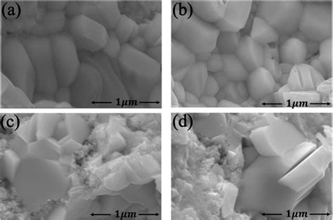 Feg‐sem Of All The Dual‐doped Samples A Bist‐005 B Bist‐01 C