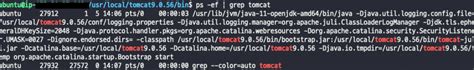 Was Ubuntu Tomcat9 설치