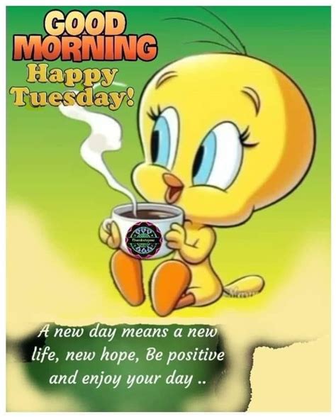 50 Cute Happy Tuesday Cartoon Quotes Happy Tuesday Quotes Tuesday