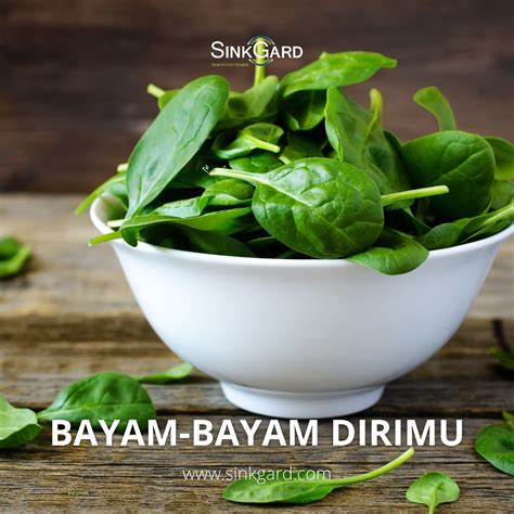 Tggs Sinkstar 싱크대일체형 Bldc 음식물처리기 Tggs 싱크스타 렌탈 및 구입문의 1544 2480 Kr 렌탈료