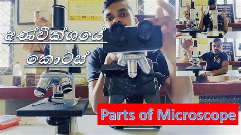 Parts Of Light Microscope ආලෝක අණ්වීක්ශයේ කොටස් Light Microscope Science Grade Grade