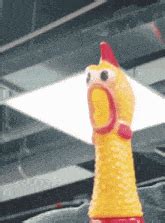 Rubber Chicken Memes Do Funny Screaming Rubber Chicken Video For You