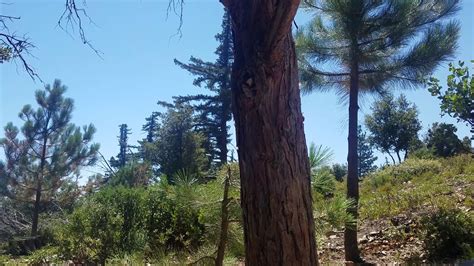 Cepher Yasher Jasher Chapter 5 Youtube