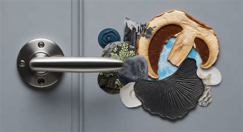 Why Is Qualitative Materiality Particularly Important For Climate