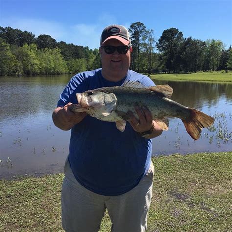 Pictures Of Tracy Goode