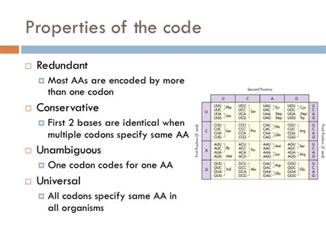 Lecture Slides The Genetic Code The Biology Primer