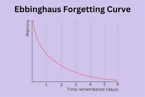 What Is The Ebbinghaus Forgetting Curve And How To Boost Memory