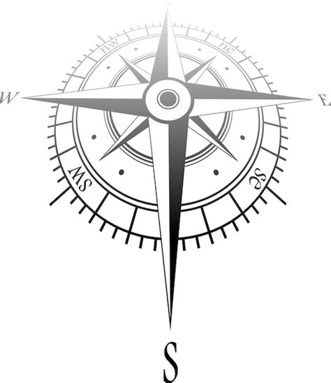 Premium Vector Wind Rose
